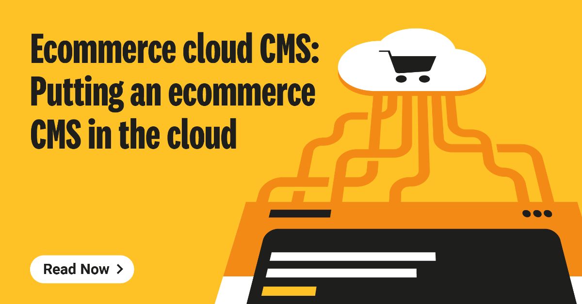 Ecommerce cloud CMS: Putting an ecommerce CMS in the cloud | Magnolia Headless CMS